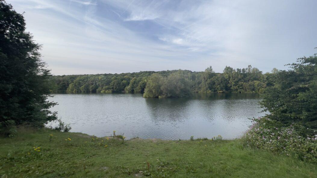 Your Ultimate Guide to Beautiful Clifton Country Park: History ...